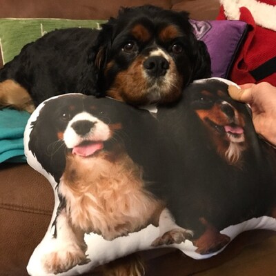 Memory Pillow Pet Memorial Custom Pet Portrait - Etsy