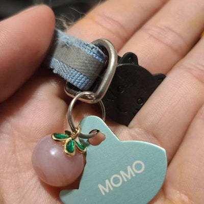 Mini Soju Bottle Mixed Charms 12pcs - Etsy