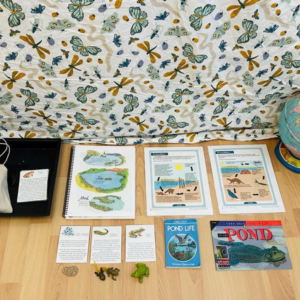 POLAR Bear Unit Study, Life Cycle, Anatomy, Nature Study, Science ...