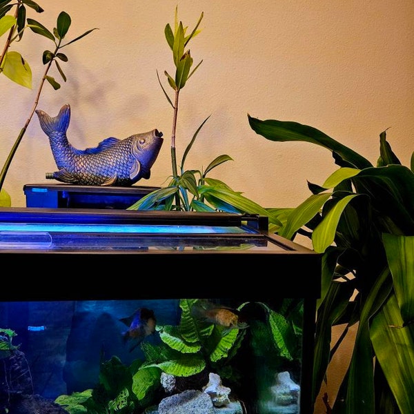 Texas Ebony, Native Texas Tree Seeds and Seedlings: Ebenopsis Ebano ...