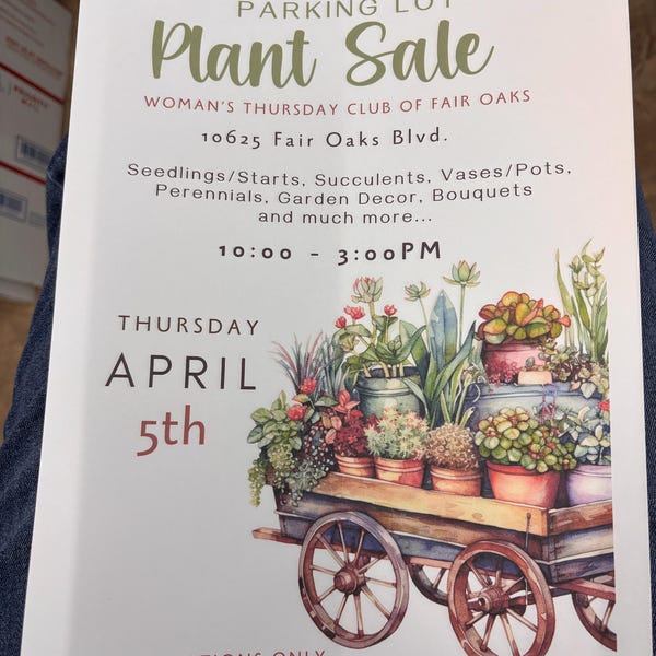 Editable Ladies Tea Party Event Flyer | Women’s Day | Ministry Tea ...