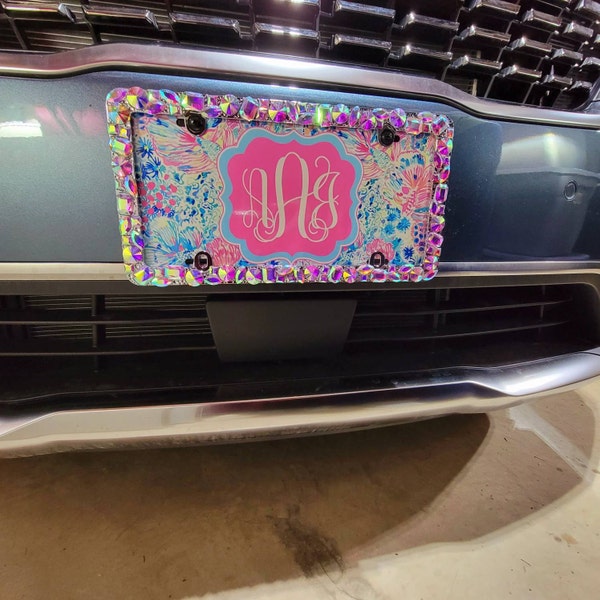 Flamingo Pink Ocean Colors Car Tag, Monogrammed License Plate ...