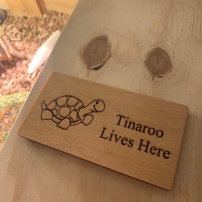 Personalised Wooden Tortoise Name Plaque/hanging Sign 4 Designs ...