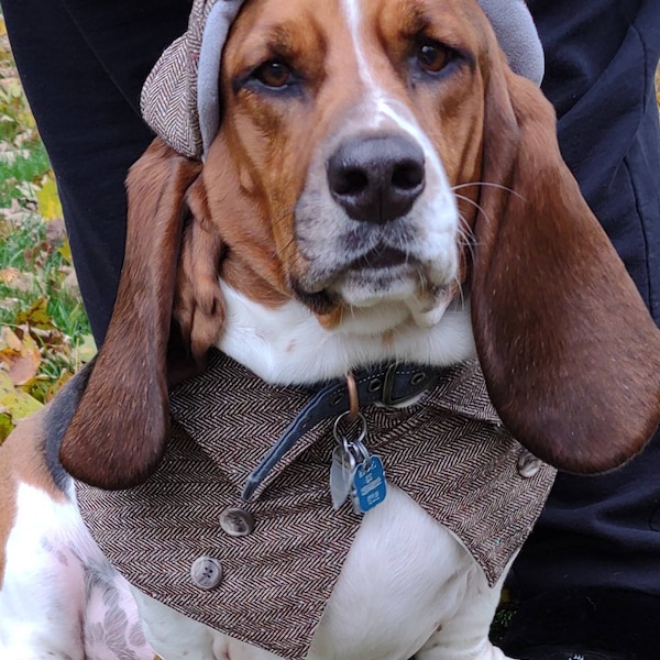 Pet CAPE Dog Tweed Cape Herringbone Wool Blend Capelet With Fleece ...