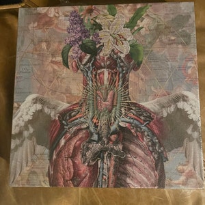 Glitter Sparkly Anatomical Heart Sticker Alice in Wonderland Sticker ...