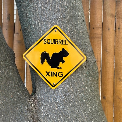 Squirrel Xing Mini Metal Yellow Farm Caution Crossing Sign 6x6 or 12x12 ...