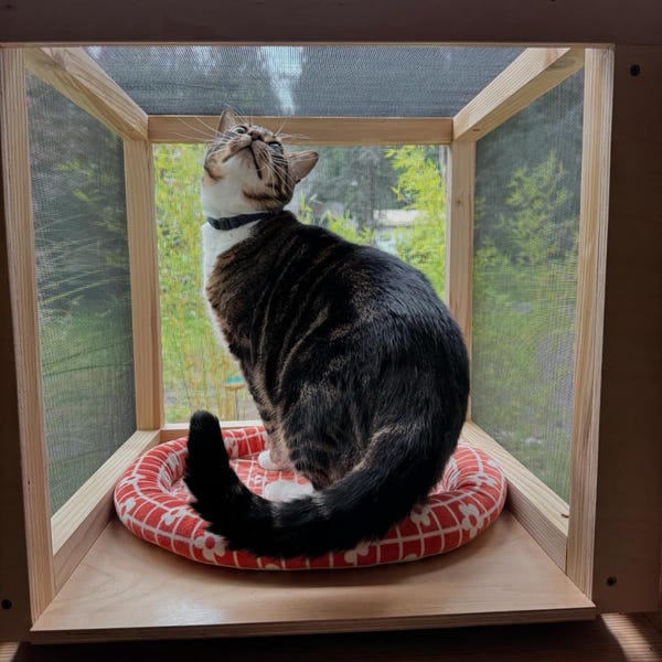 Catio DIY Digital Plan Window Box for Cats - Etsy