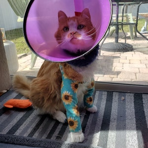 Front Leg Protection Sleeves for Cats - Etsy