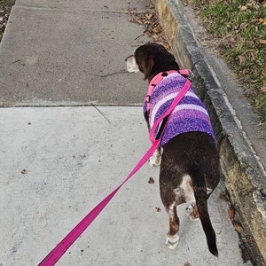 Ledger Sweater CROCHET Pattern Beginner Friendly Sweater for Dogs in 5 ...