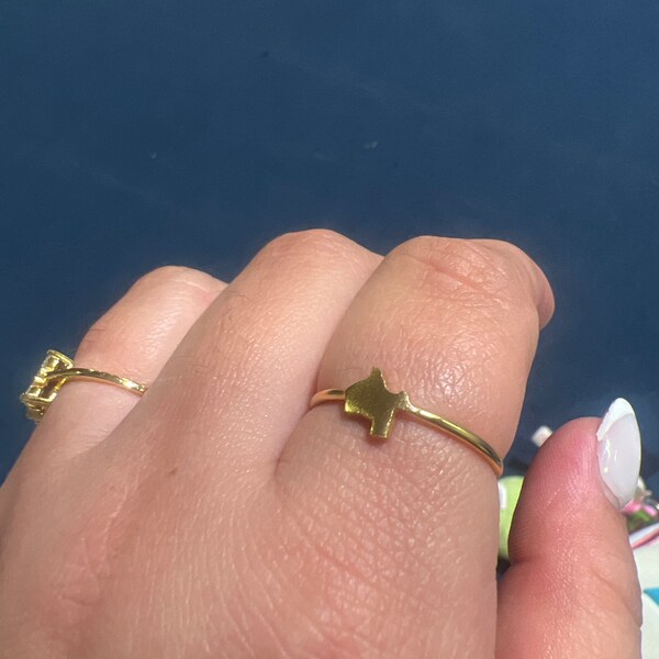 Custom State Ring • Custom City Ring • Sterling Silver State Initials ...