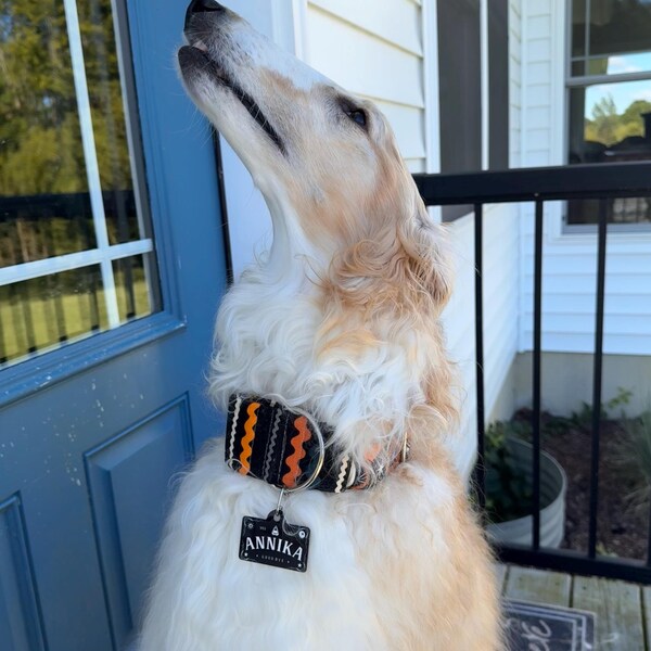 Witchy Pet ID Tag, Custom Personalized Dog or Cat Tags, Mystical Gothic ...