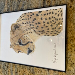 Eastern Spine-bill Bird, Original Coloured Pencil Art, 9x12 Inch Wall ...