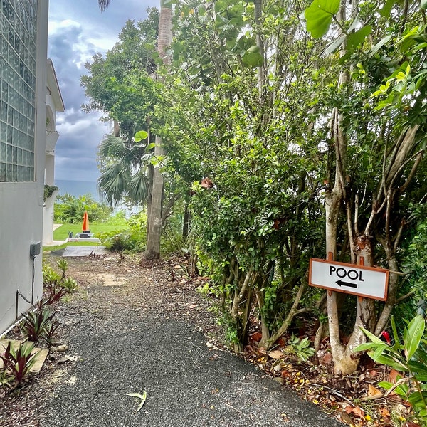 Pool Signs, Pool Rules, Shallow Water, No Diving Sign, Pool Decor ...