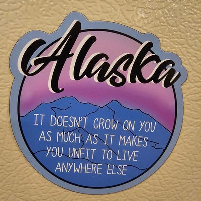 Hand Embroidered Poppy Jean Jacket, Large - Etsy