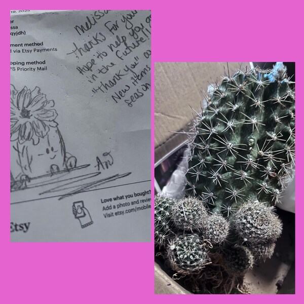 Navi Hand-numbered Paint Horse Watercolor Print - Etsy