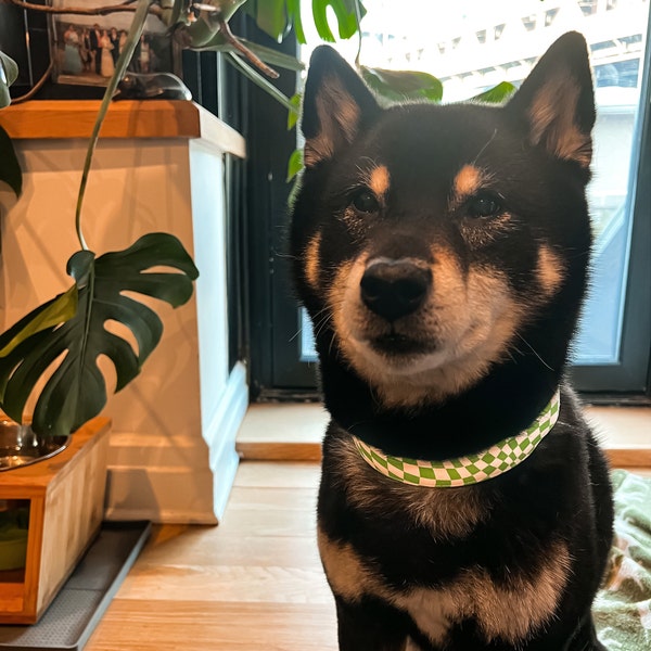 Lime Green Groovy Checkered Dog Collar, Custom Boy Dog Collar Y2k ...