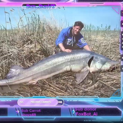 60x Cute Chibi DIY Cute Bases Emote Twitch Emotes Subscriber - Etsy