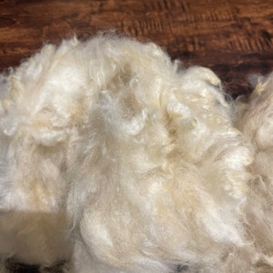 Raw Wool Lincoln Longwools Natural Colored - Etsy
