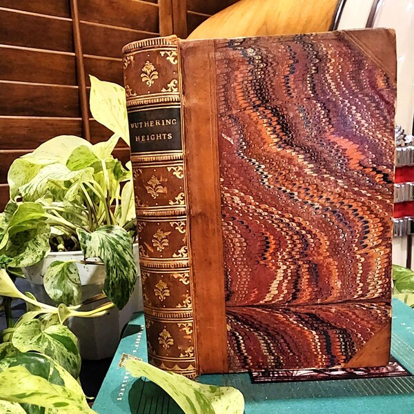 The Wonders of Animal Ingenuity Natural History Antique Illustrated ...