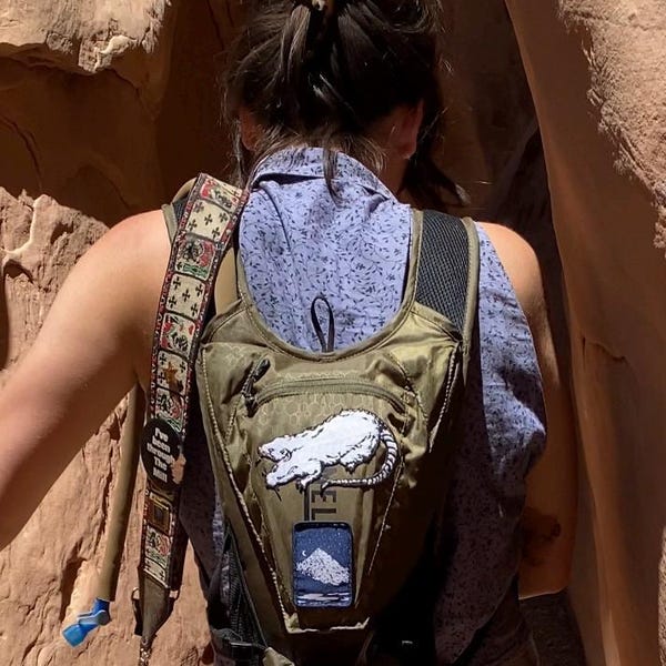 Spine Back Patch, Wings Patch, Patch Bone, Large Embroidered Patch, Skeleton, Horror Patch, Punk ...