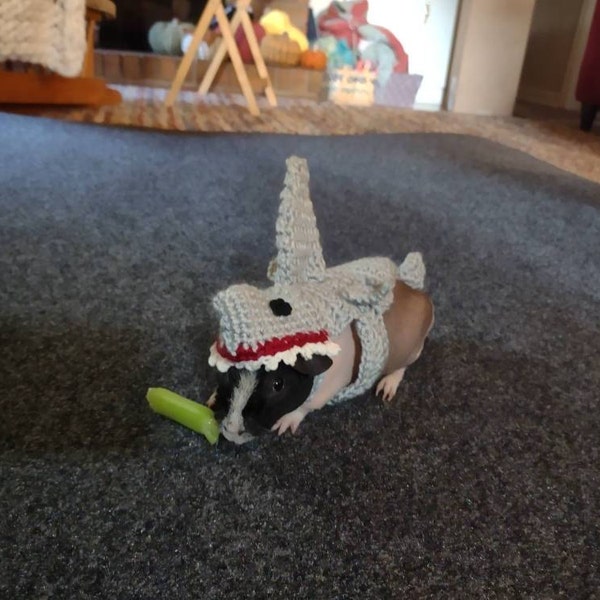 Crochet Pattern Shark Jaws Hoodie Costume for Squirrels, Guinea Pigs ...