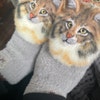 GRAY CAT MITTENS Felt Animal Mittens Designer Mittens - Etsy