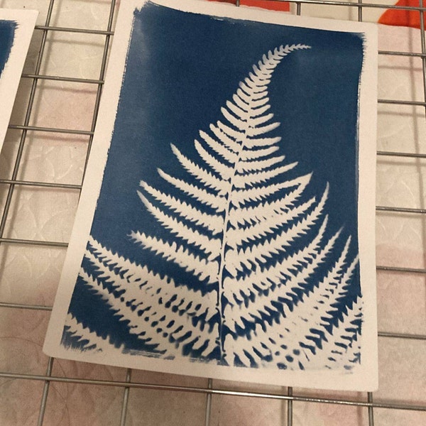 Cyanotype Kit: Easy to Use Sun Printing Kit by Daisy Bow Craft - Etsy