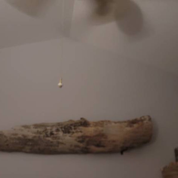 Beer Keg Seafood/crab Boil Pot + Removable Shelf Bundle - Etsy