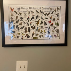 Backyard Birds of Georgia Bird Identification Poster Print / Field ...