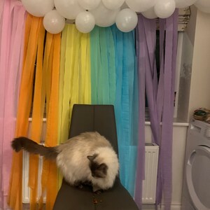 Rainbow Donut Wall, Pastel Donut Wall, Birthday Donut Cake Stand, Girls ...