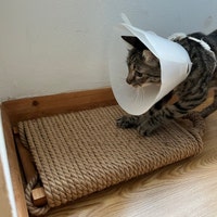 100% Natural Jute Hessian Rope Strand Cord Braided Twisted Boating Sash ...