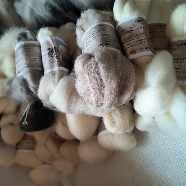 40 Sheep Breed Study Samples - Combed Top Wool Fibre - 1 Kilo - Etsy