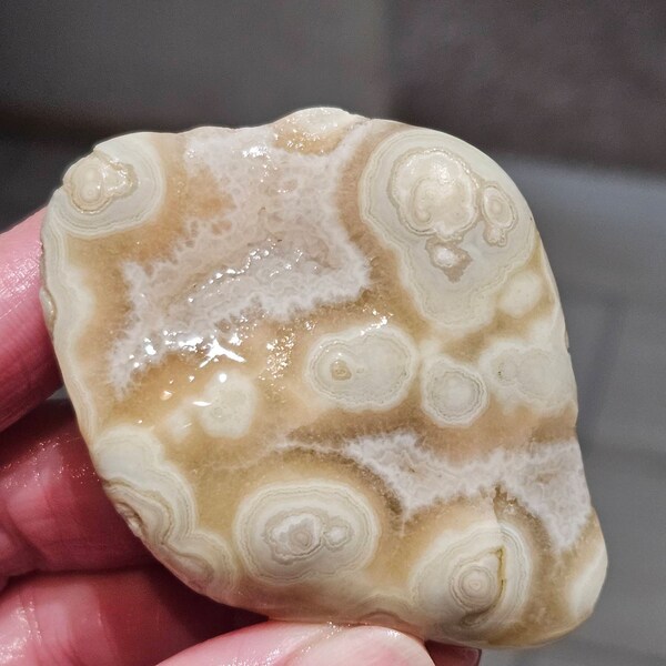 Crowley Ridge Agate - Etsy