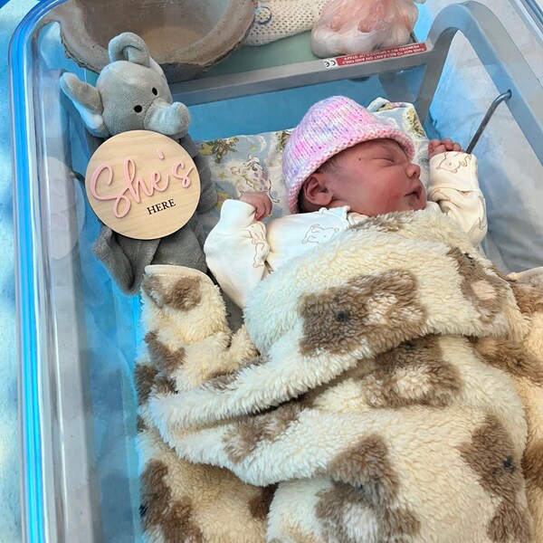 Wooden Circle Toy Box Storage Labels, Playroom, Nursery, Ikea Trofast ...