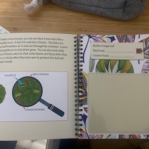 My Leaf Collection Album: A Hardcover Album With Envelope Pockets for ...