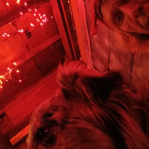 Vintage Style Oil Gas Vinyl Decal Sticker Racing Race Car Drag Racing ...