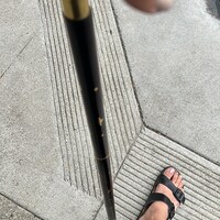 Premium Wooden Walking Cane for Women and Men, Rabbit Silver Head ...