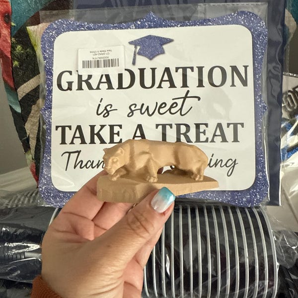 Accommodated 8" Bed Riser - Slim Substitute for 1 Existing Bed Riser so ...