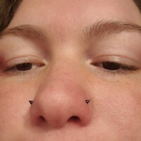 Spike Nose Stud Nose Ring Nose Piercing Corkscrew Twist Implant Grade Titanium Screw Gold Steel ...