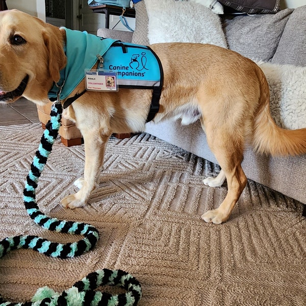 Custom Handmade Fleece and Minky Dog Leash - Etsy