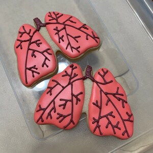 Anatomical Lungs Cookie Cutter Metal USA Handmade by West - Etsy