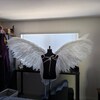 Extra Large Wings, White Angel Wings, Black Wings, Gold Wings, Big ...