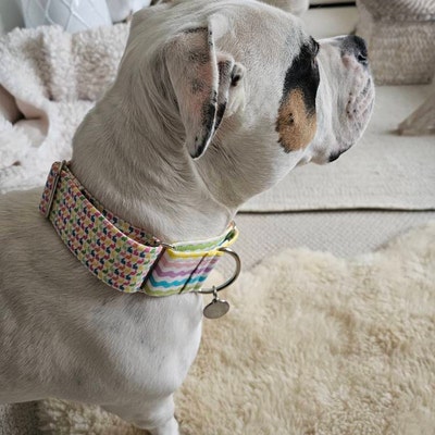 Easy Dog Tag Changer, Dog Collar Id Tag Clip With Lobster Clasp and ...