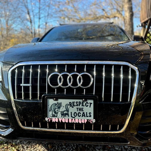 Light Blue Seashells Beachy License Plate Frame Ocean Vanity Car Tag ...