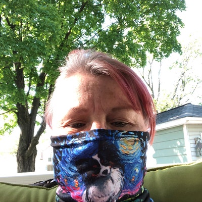 Papillon Dog Starry Night Art Face Mask, Face Shield Washable Reusable ...