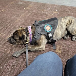 Personal Healthcare Companion Patch - Etsy