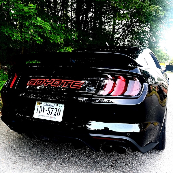 Angry Hornet Taillight Divider Blackout Decal Kit Fits Dodge Challenger ...
