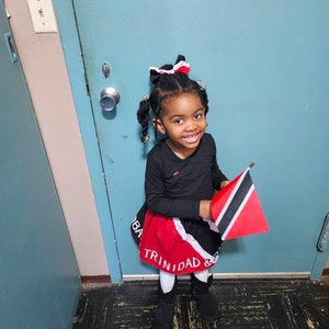 Puerto Rico Clothing. Baby Puerto Rican Skirt . Puerto Rico Flag Skirt ...