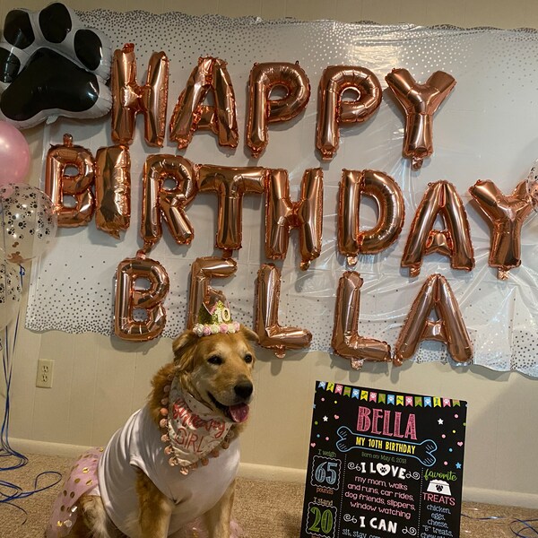 Paw Print Balloon Dog Birthday Vet Student Graduation Party Decorations ...