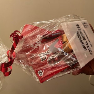 Mini Mail Tub Tote for Small Items - Etsy